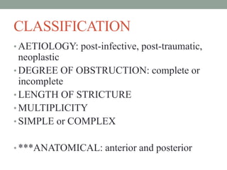 Pathology of Urethral strictures | PPTX