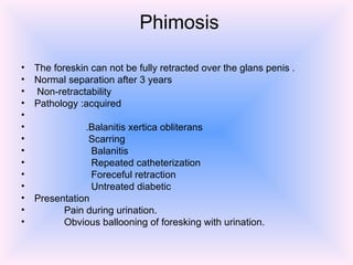 urology.Urethral strictures.(dr.ismaeel) | PPT