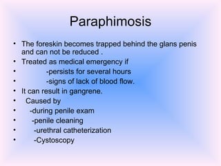 urology.Urethral strictures.(dr.ismaeel) | PPT