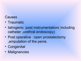 urology.Urethral strictures.(dr.ismaeel) | PPT