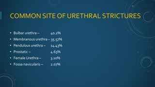Urethral strictures | PPTX