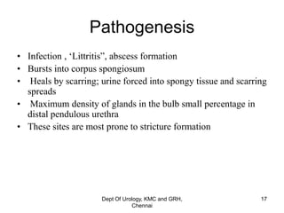 Urethra stricture etiopathogenesis & evaluation | PDF