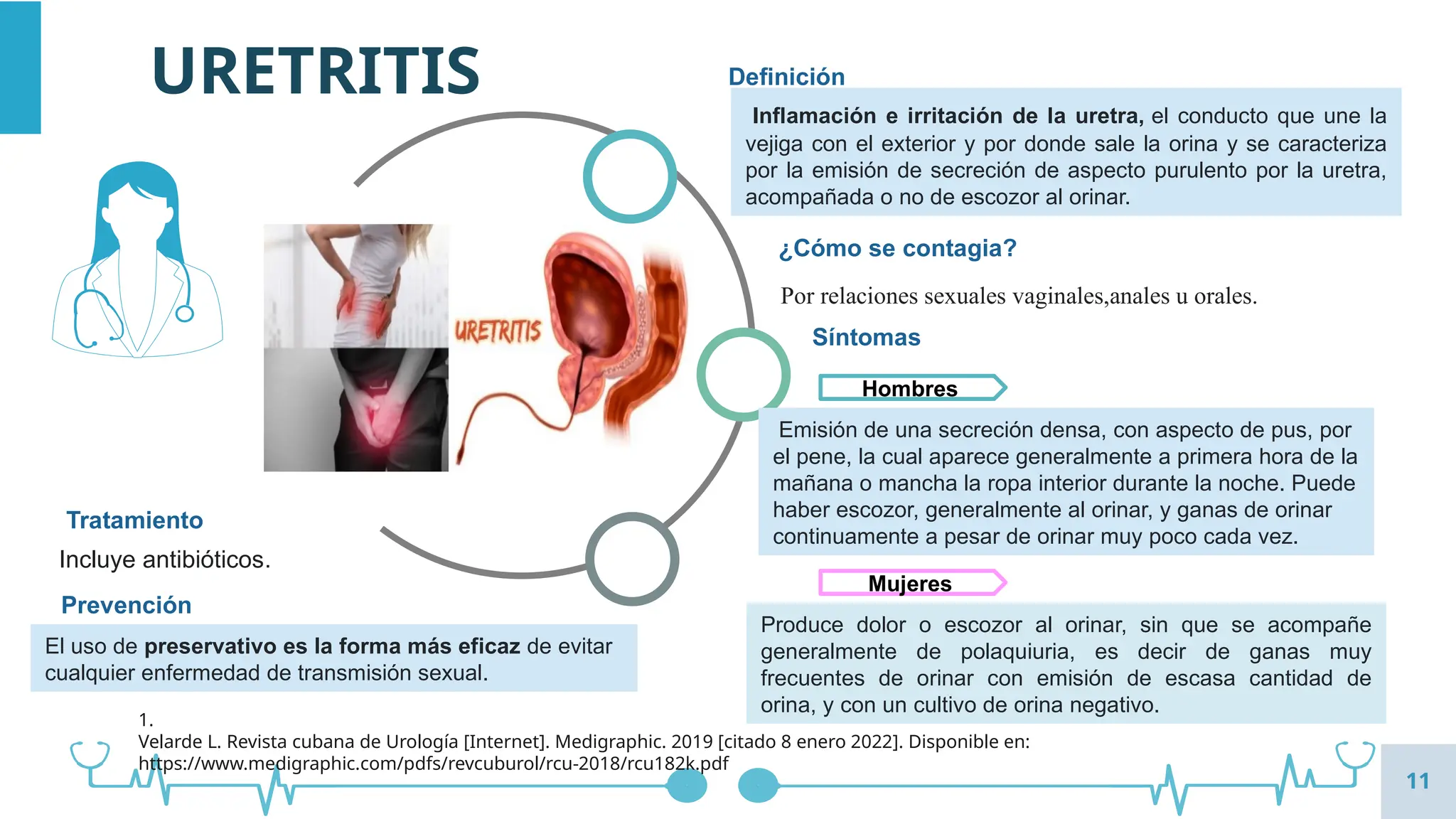 Uretra presentación ,Morfofisiologia II,generalidades | PPTX