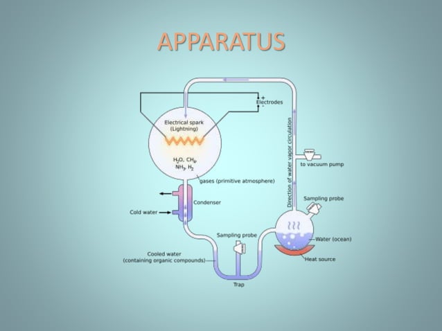 Urey miller experiment | PPTX