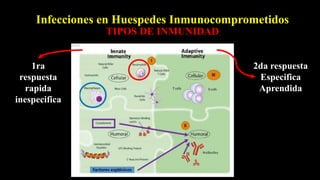 Urgencias Infectologicas Inmunocomprometidos 2024.pptx