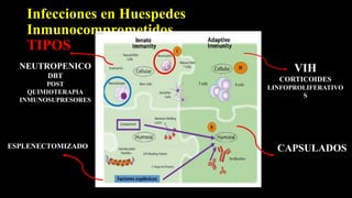 Urgencias Infectologicas Inmunocomprometidos 2024.pptx