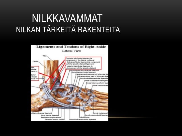 Urheilijan nilkka ja polvivammat, Sairaala NEO