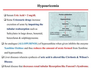 Uric Acid.pptx