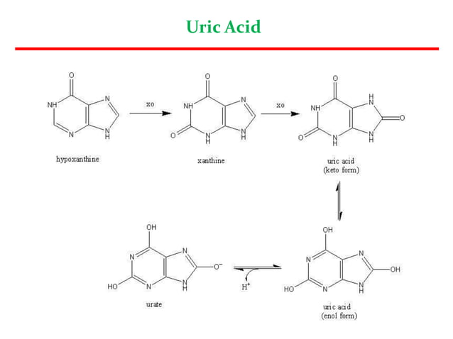 Uric Acid.pptx | Blood Disorders | Diseases and Conditions