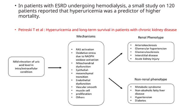 Uric acid and kidney has a important role | PPTX | Endocrine and ...