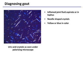 Uric acid disorders | PPTX | Digestive Disorders | Diseases and Conditions