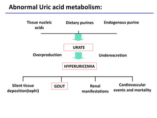 Uric acid disorders | PPTX | Digestive Disorders | Diseases and Conditions