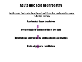 Uric acid disorders | PPTX | Digestive Disorders | Diseases and Conditions