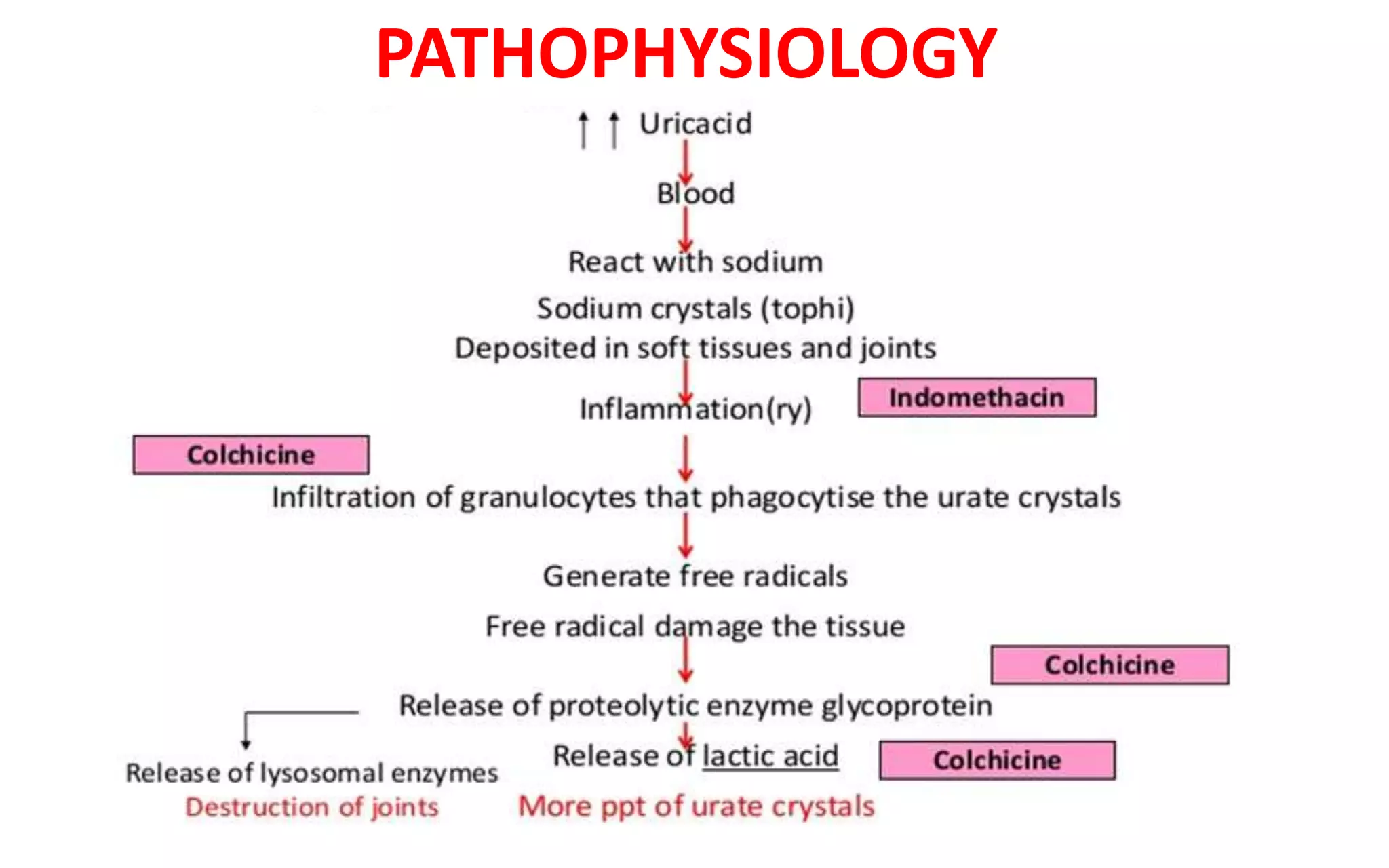 Uric acid metabolism and Gout | PPTX