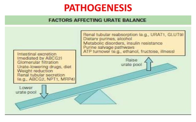 Uric acid metabolism and Gout | PPTX