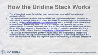 The Uridine Supplement Stacks Help Repair Dopamine Receptors | PPTX