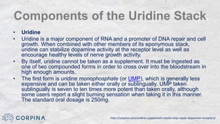The Uridine Supplement Stacks Help Repair Dopamine Receptors | PPTX