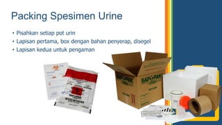 Metode pengambilan spesimen urine untuk TLM | PPTX