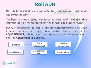 Urina dhe mekanizmi kunër-rrymë | PPT