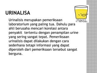 Tahapan dan Proses Urinalisa-Biokimia Klinik | PPT