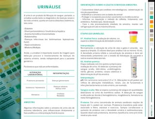 Interpretação de urinaliseeeeeeeeeeeeeee | PDF