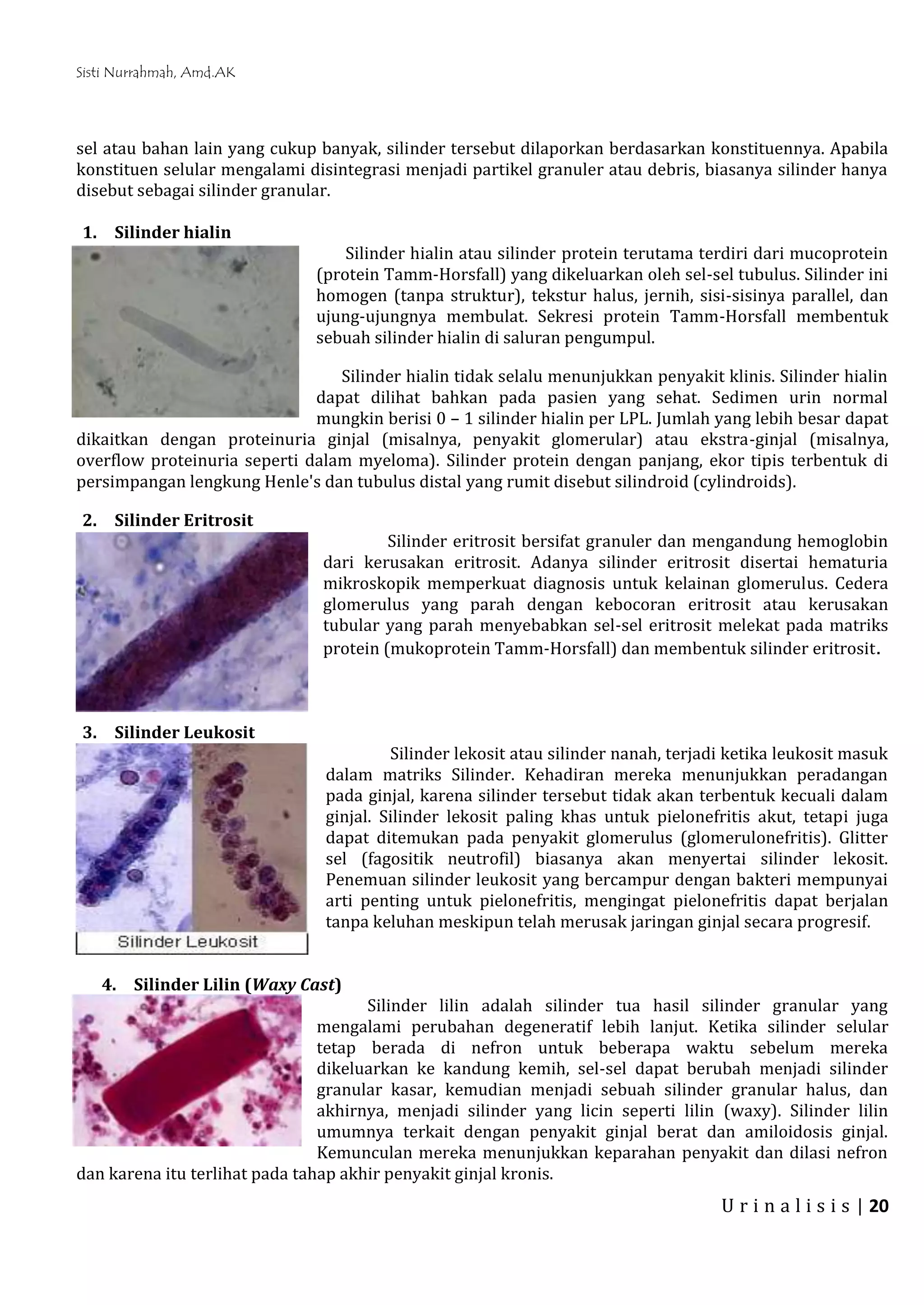 Urinalisis | DOCX