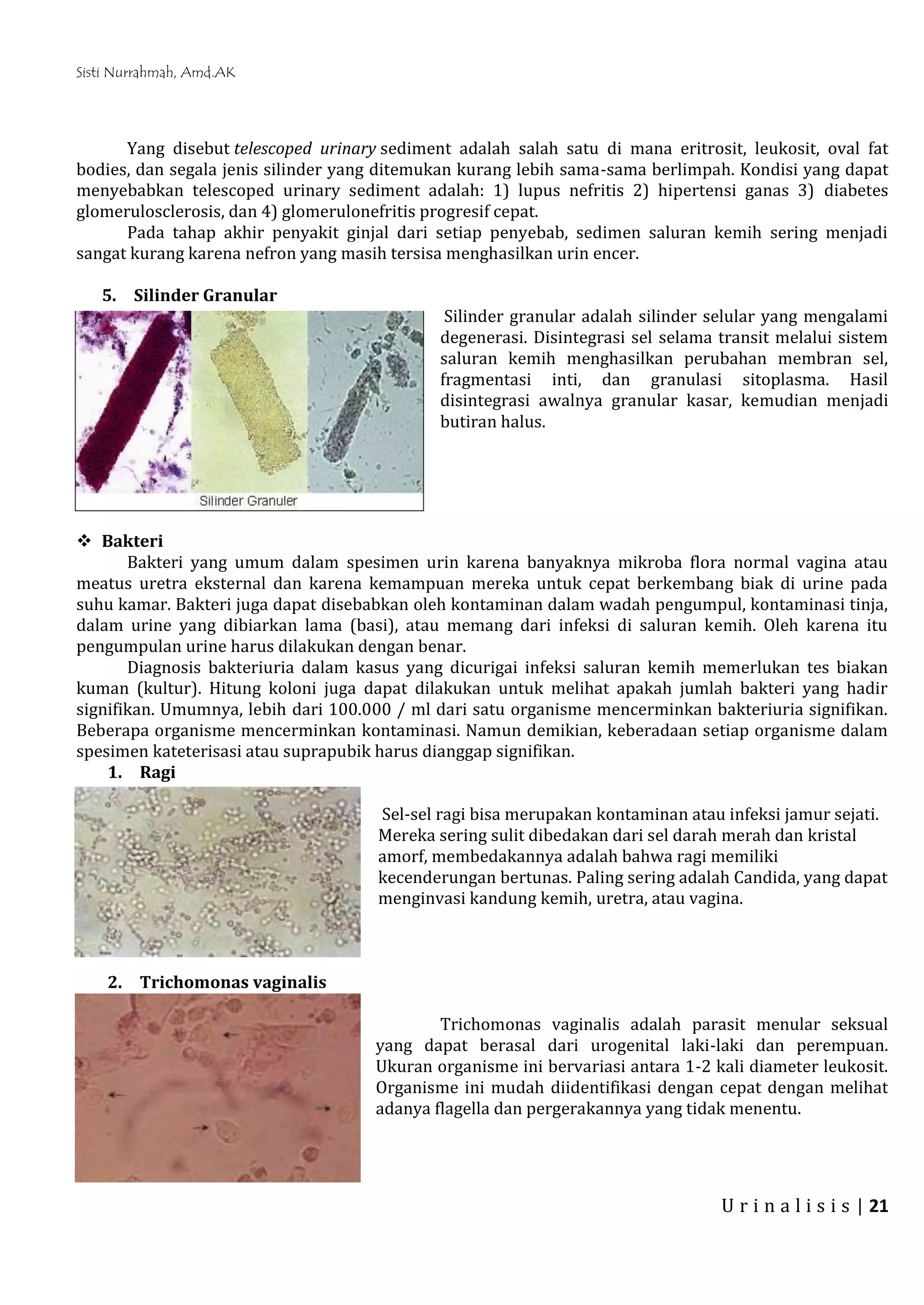 Urinalisis | DOCX
