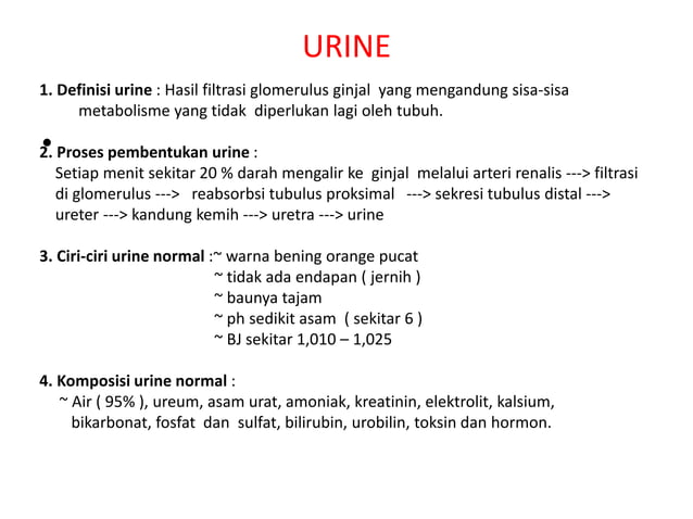 PEMERIKSAAN URINE (Urinalisis) | PPTX
