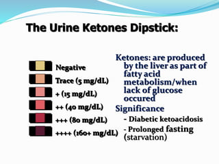 urinalisis.pptx