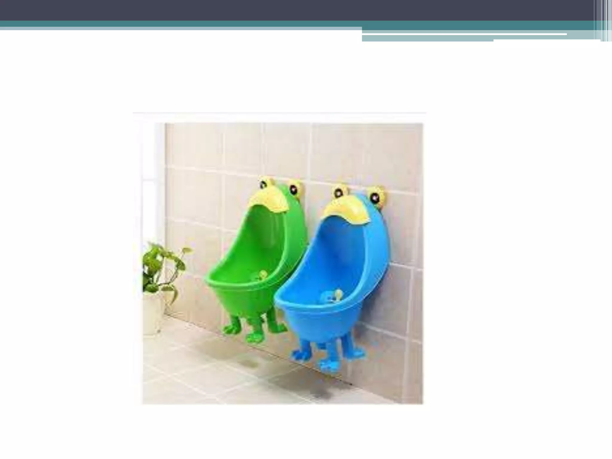 Urinals (presentation) | PPTX