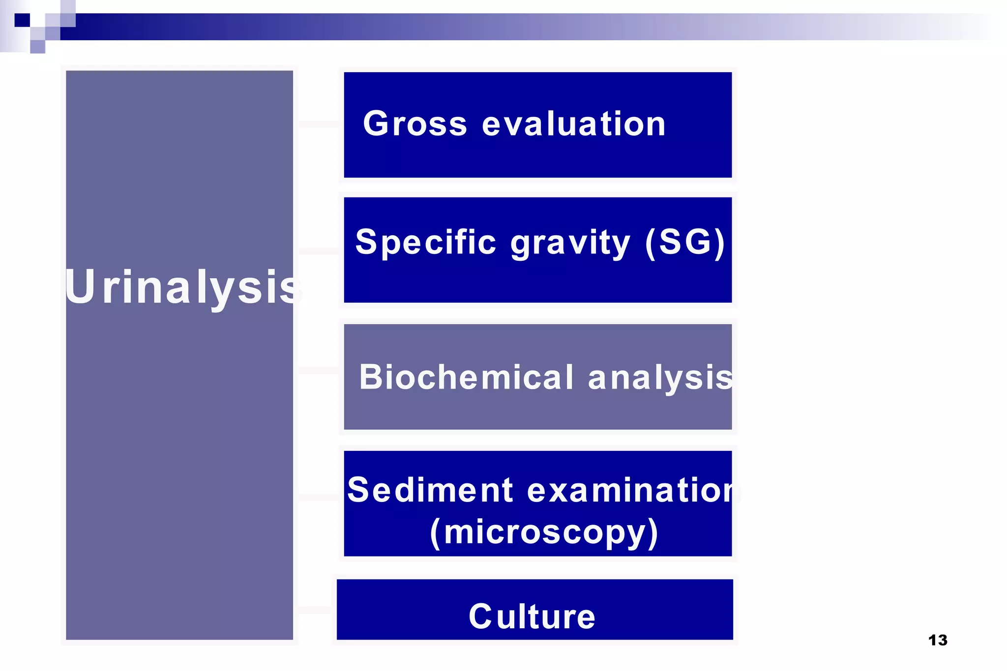 Urinalysis | PPT