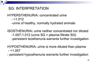 Urinalysis | PPT