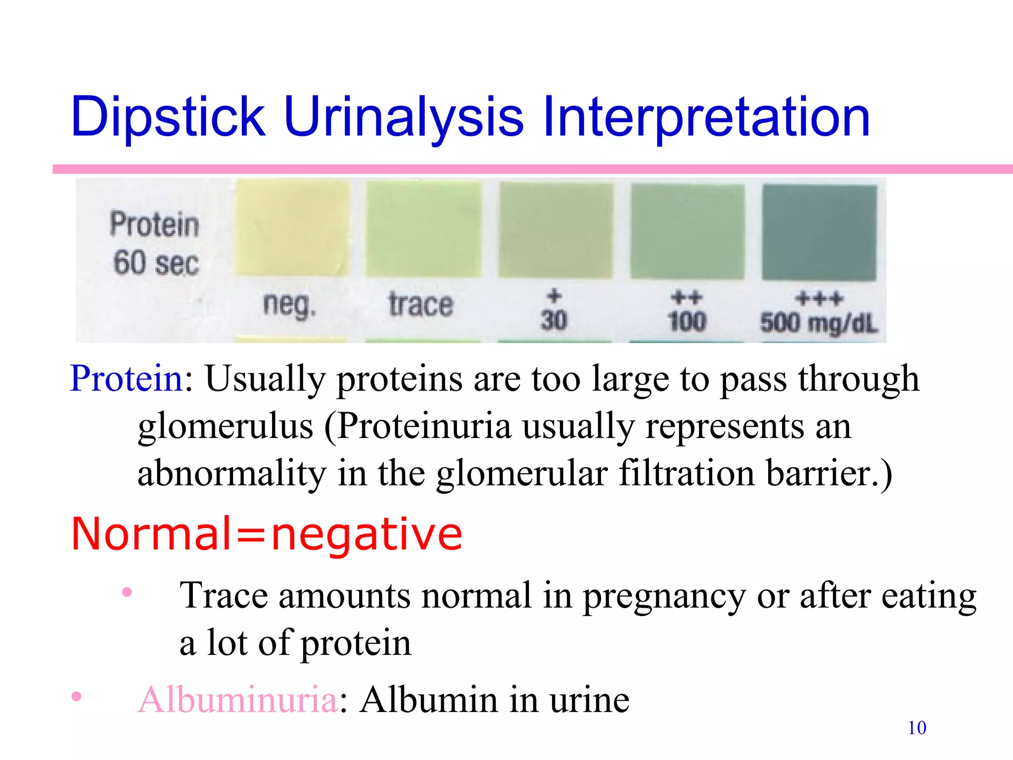 Urinalysis | PPT