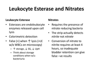 Urinalysis | PPTX