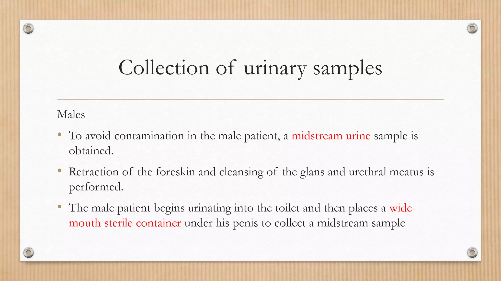 Urinalysis | PPTX