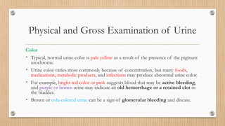 Urinalysis | PPTX
