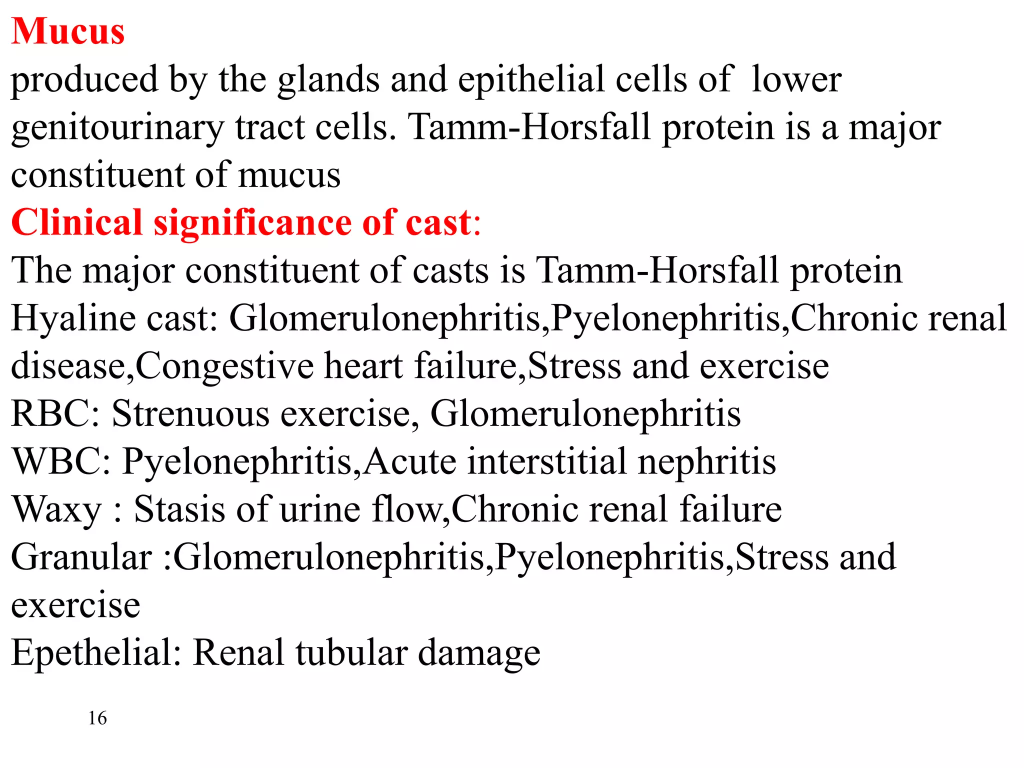 Urinalysis.ppt | Blood Disorders | Diseases and Conditions