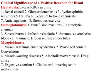 Urinalysis.ppt | Blood Disorders | Diseases and Conditions