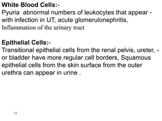 Urinalysis.ppt