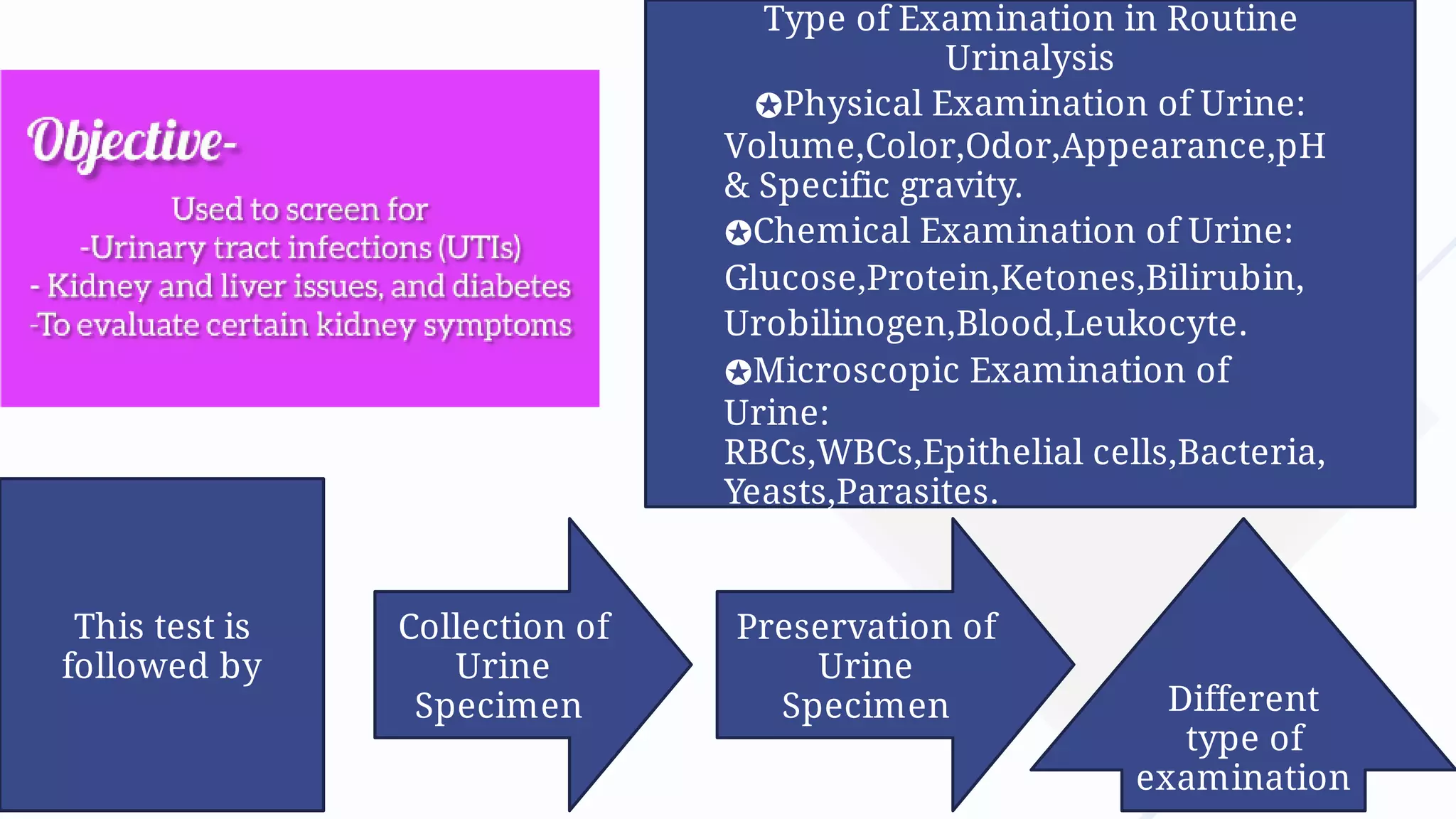 Urinalysis.pdf
