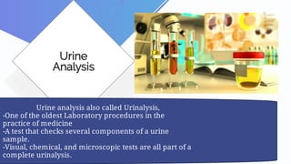 Urinalysis.pdf