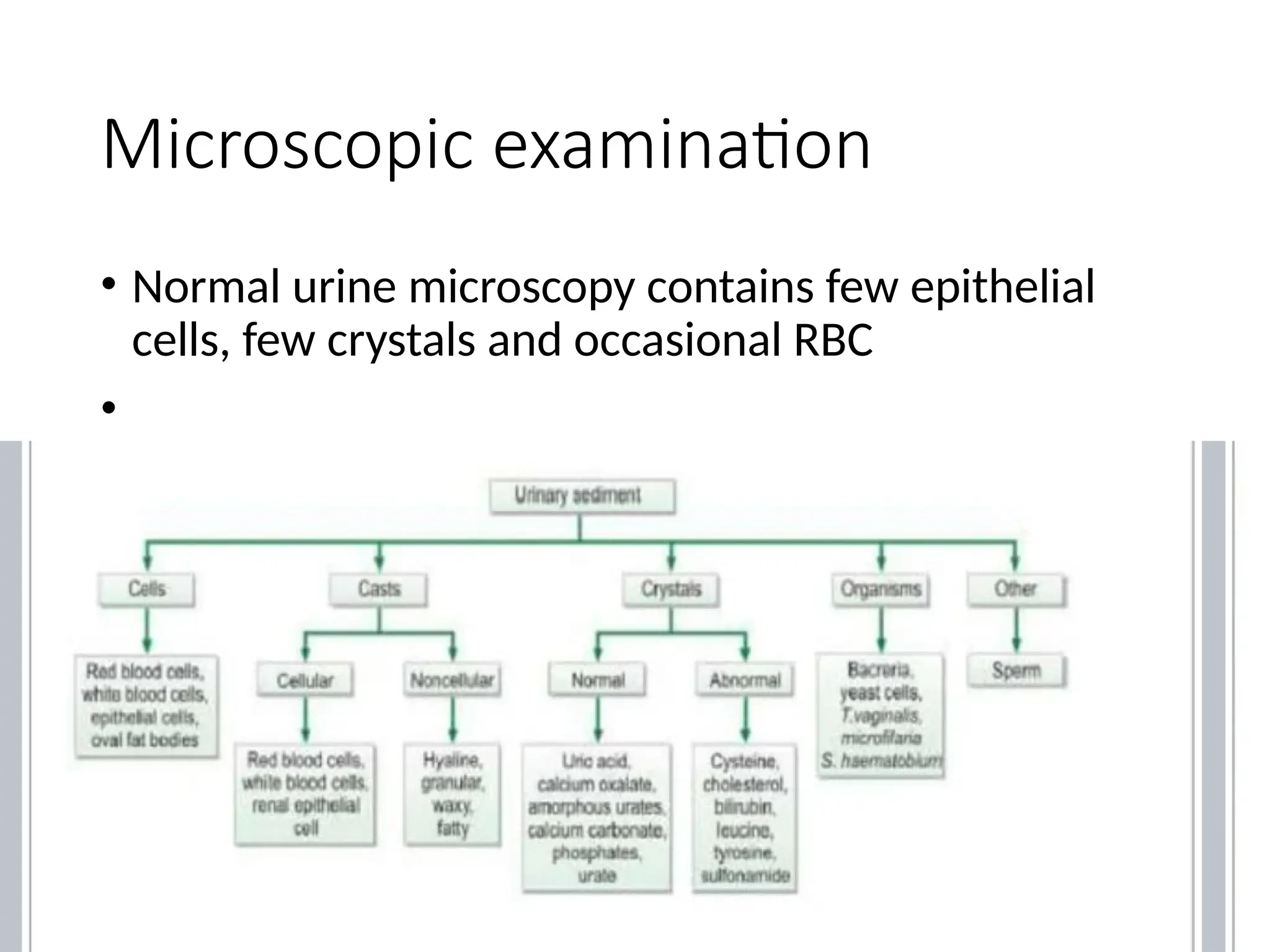 Slide on Urine analysis and urine microscopy | PPTX