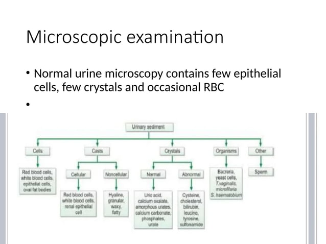 Slide on Urine analysis and urine microscopy | PPT