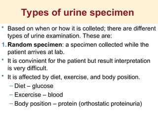 Urinalysis.ppt The physical, chemical, and microscopic parts of urine ...
