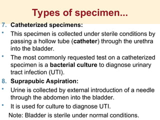 Urinalysis.ppt The physical, chemical, and microscopic parts of urine ...