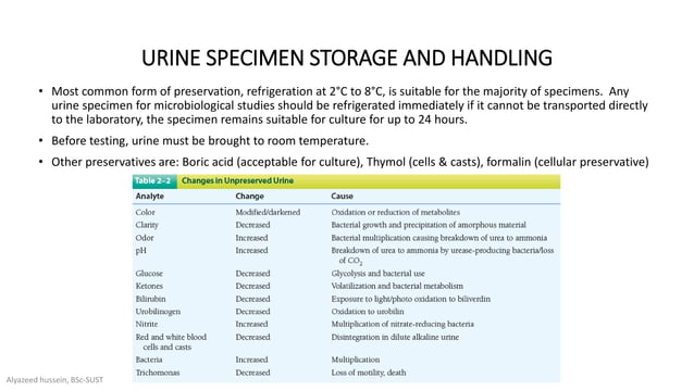 Urinalysis a comprehensive review | PPTX | Blood Disorders | Diseases ...