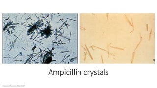 Ampicillin Crystals