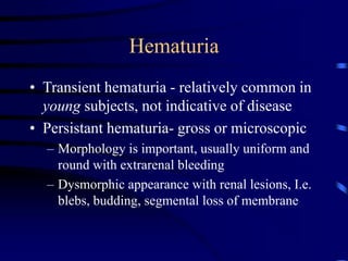 Urinalysis; urine examination in the lab.ppt