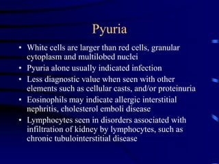 Urinalysis; urine examination in the lab.ppt