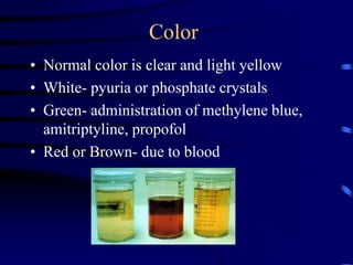 Urinalysis; urine examination in the lab.ppt